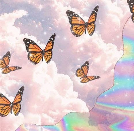 - Tops - – Evie Marie’s